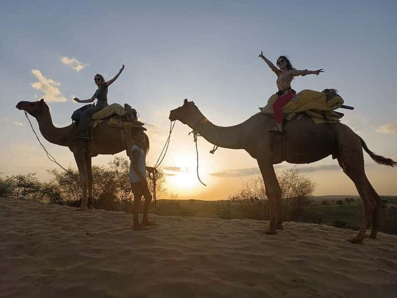 Jodhpur : Jeep Safari, Camel Ride,Buffet Dinner & Folk Dance - What Makes This Tour Stand Out?