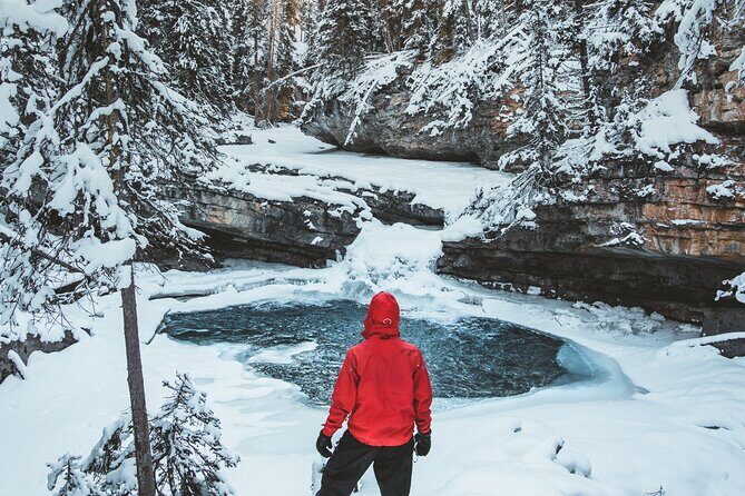 Johnston Canyon Frozen Waterfalls & Banff Backroads Wildlife Tour - A Complete Breakdown: What to Expect on the Tour
