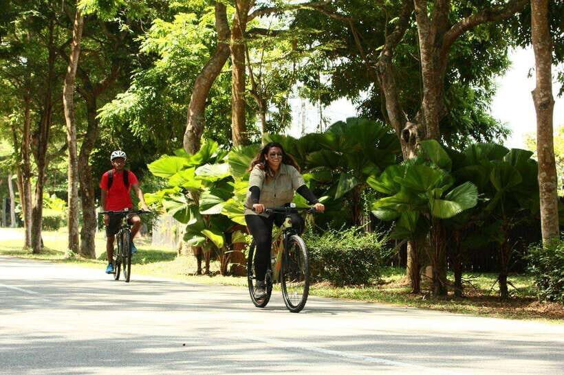 Johor: Desaru Coast Cycling - What You Can Expect from the Desaru Coast Cycling Tour
