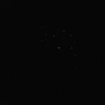 Joiners Firefly Watching Tour - Why This Tour Matters to You