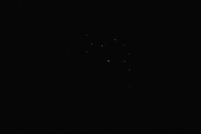 Joiners Firefly Watching Tour - Why This Tour Matters to You