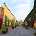 José Cuervo Tequila Day Experience from Guadalajara - Additional Distillery Visits