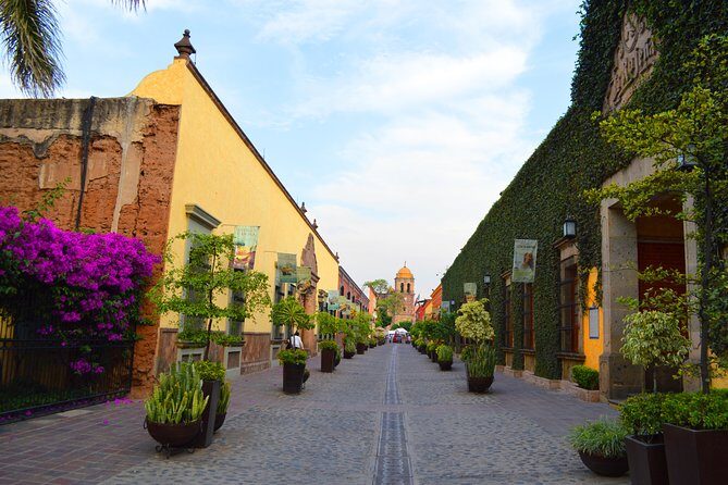 José Cuervo Tequila Day Experience from Guadalajara - Additional Distillery Visits