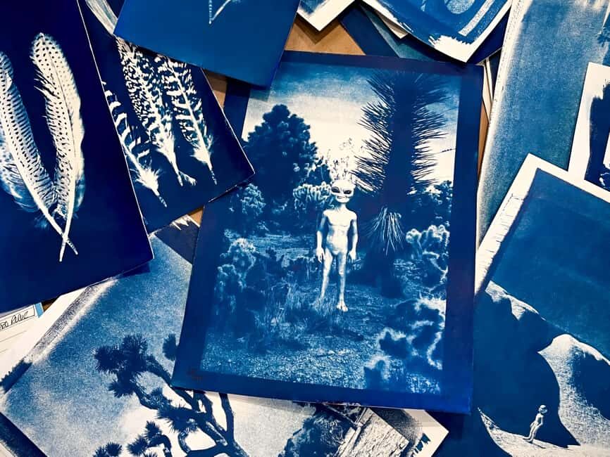 Joshua Tree: Cyanotype Sunprint Workshop - Practical Tips for Participants