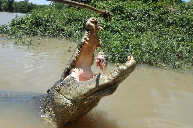 Jumping Crocodile Cruise with lunch - Analyzing the Price and Overall Value