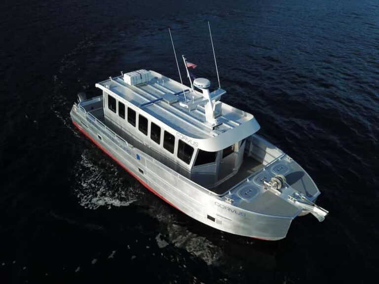 Juneau: 3.5-Hour Small Group Whale Watching Tour - Why This Tour Offers Real Value