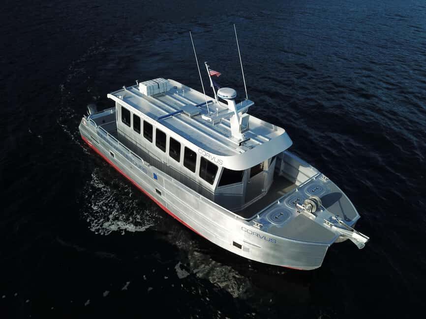 Juneau: 3.5-Hour Small Group Whale Watching Tour - Why This Tour Offers Real Value
