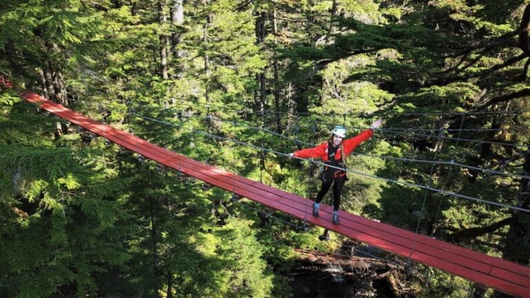 Juneau: Alpine Zipline Adventure - An In-Depth Look at the Juneau Alpine Zipline Adventure