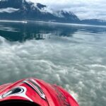 Juneau Jetski & Whale Adventure - A Detailed Breakdown of the Itinerary