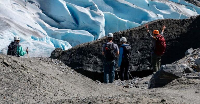 Juneau: Mendenhall Glacier Guided Trail Hike - Who Would Love This Tour?