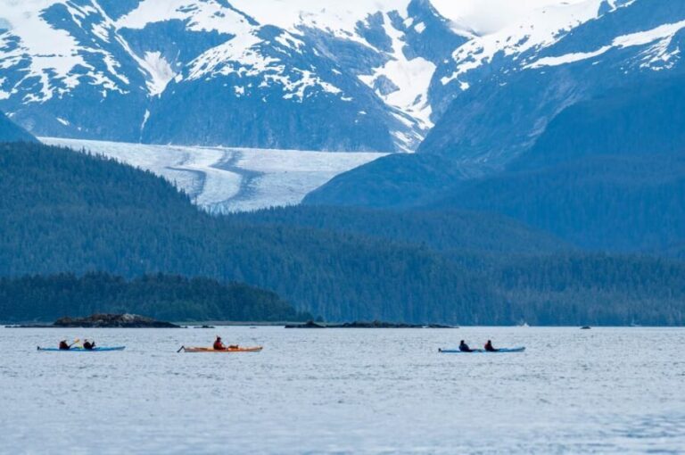 Juneau: Paddle with Whales Kayak Adventure - Analyzing the Tour Value