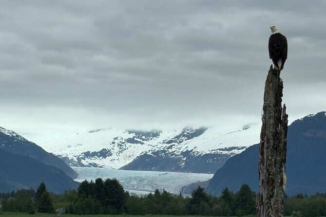 Juneau Private 3 Hour Sightseeing Tour with a Local - What Travelers Are Saying
