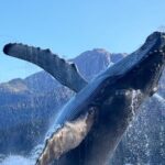 Juneau Top Sight Seeing Group Tour - Brotherhood Bridge: A Scenic and Cultural Highlight