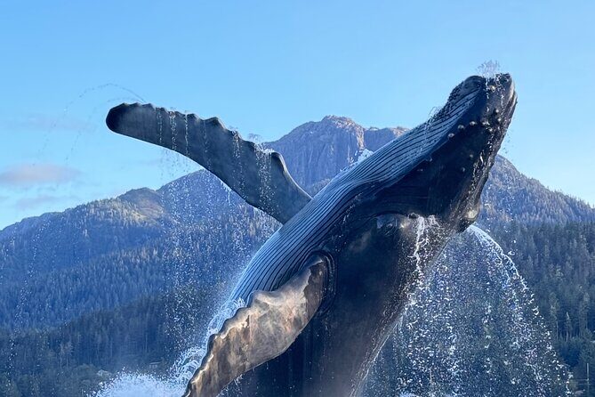 Juneau Top Sight Seeing Group Tour - Brotherhood Bridge: A Scenic and Cultural Highlight