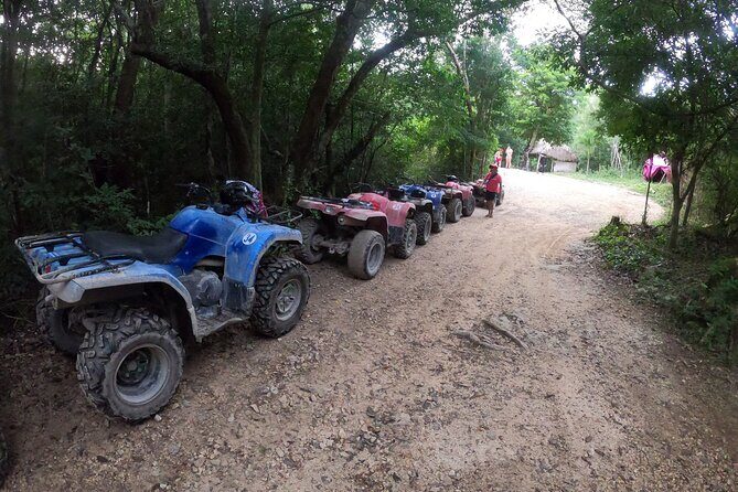 Jungle ATV Adventure: Unveiling Akumal's Enchanting Cenotes - The Practical Details: What to Expect and Prepare For