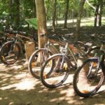 Jungle Bike Tour - Who Will Love This Tour?