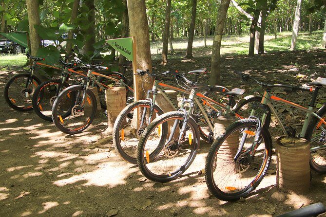 Jungle Bike Tour - Who Will Love This Tour?