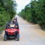 Jungle Buggy Tour from Playa del Carmen Including Cenote Swim - The Itinerary Breakdown