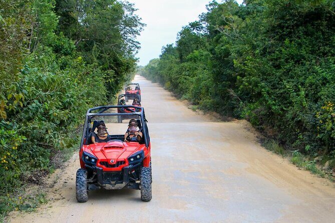 Jungle Buggy Tour from Playa del Carmen Including Cenote Swim - The Itinerary Breakdown