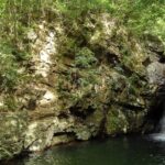 Jungle River Trek: private tour in Yanbaru, north Okinawa - What Do Reviewers Say?
