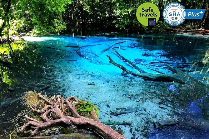 Jungle Tour to Emerald Pool, Krabi Hot Spring and Tiger Cave Temple - FAQ