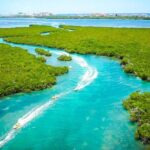 Jungle Tour with Snorkel in Cancun - The Itinerary and Experience Breakdown
