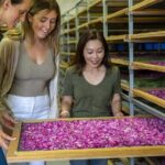 Jurlique Farm Tour - The Atmosphere and Guides: Making It Memorable