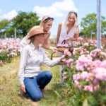 Jurlique Handpicked Masterclass - The Value of the Experience