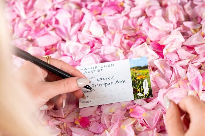 Jurlique Handpicked Masterclass - An In-Depth Look at the Jurlique Handpicked Masterclass