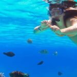 Ka'anapali Beach: Coral Reef Snorkel and Turtle Spotting - Snorkeling with Sea Turtles and Marine Life