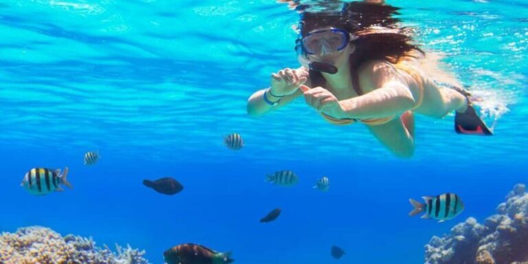 Ka'anapali Beach: Coral Reef Snorkel and Turtle Spotting - Snorkeling with Sea Turtles and Marine Life