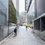 Kabukicho Macabre Tour - the Real Tokyo Vice - Walking Through Infamous Crime Scenes