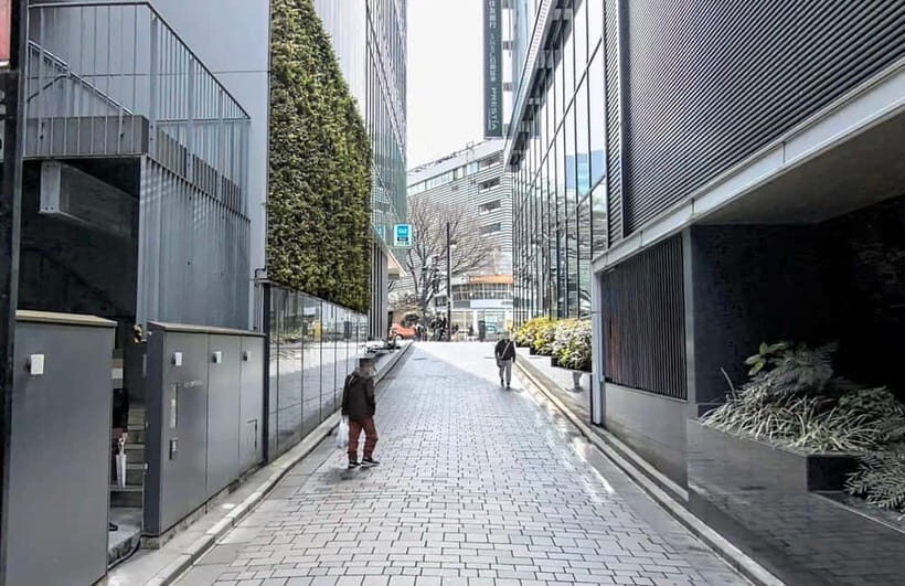 Kabukicho Macabre Tour - the Real Tokyo Vice - Walking Through Infamous Crime Scenes