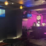 Kabukicho Tokyo Karaoke Booth - The Experience and Atmosphere