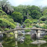 Kagoshima: Volcano & Nature Immersion Private Guided Tour - What Makes This Tour Stand Out?