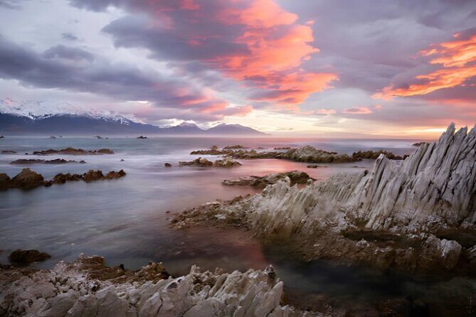 Kaikoura Day Tour From Christchurch - The Practicalities: What to Expect