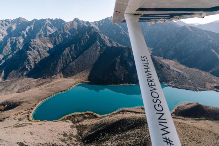 Kaikoura: Extended Flight Whale Watching & Mountain Tour - Who this tour is perfect for