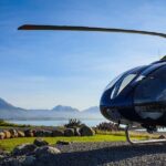 Kaikoura Helicopters Classic Whale Watch - Who Will Love This Tour?