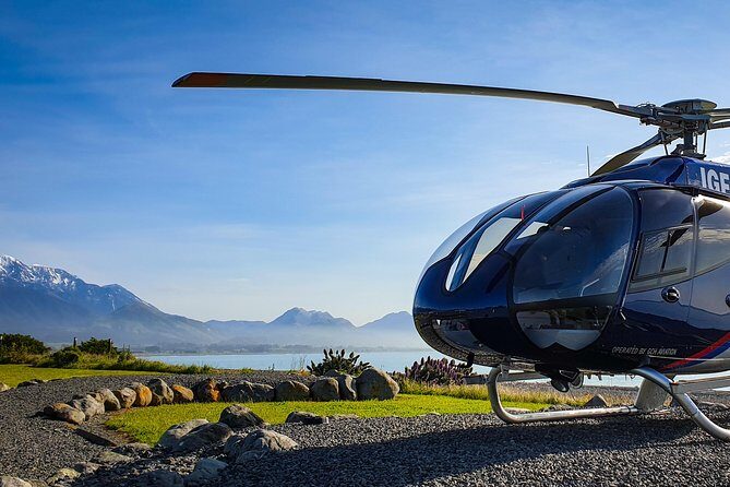 Kaikoura Helicopters Classic Whale Watch - Who Will Love This Tour?