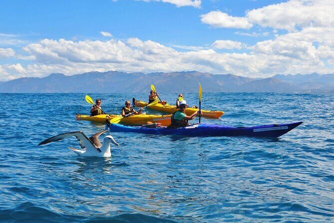 Kaikoura Kayaking Adventure Small Group Tour from Christchurch - Final Thoughts