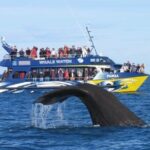 Kaikoura Private Whale Watching Day Trip from Christchurch - What Makes This Tour Stand Out?