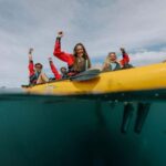 Kaikoura: Seal-Watching Pedal Kayak Tour - The Experience in Detail