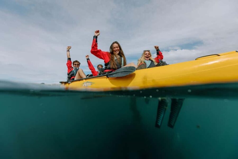 Kaikoura: Seal-Watching Pedal Kayak Tour - The Experience in Detail