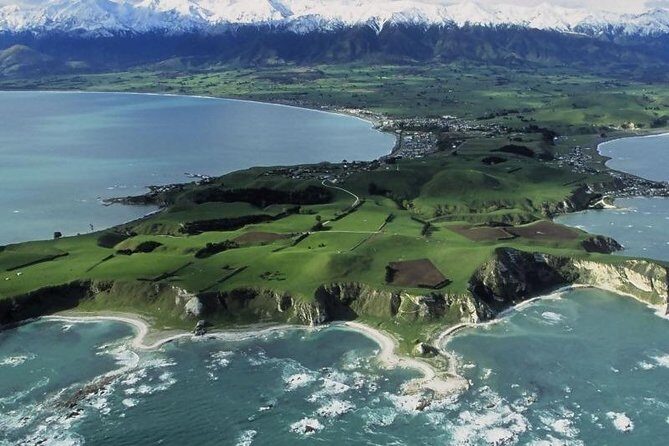Kaikoura Swim with Dolphins Tour from Christchurch - What to Expect at Each Stage of the Tour