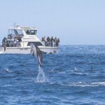 Kaikoura Whale and Dolphin Overnight Tour from Christchurch - What the Reviews Say