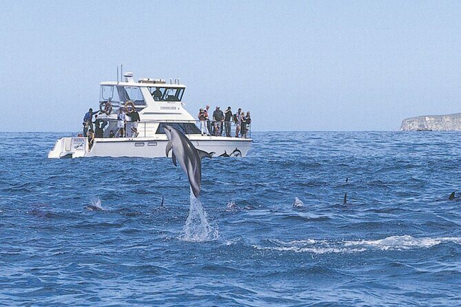 Kaikoura Whale and Dolphin Overnight Tour from Christchurch - What the Reviews Say