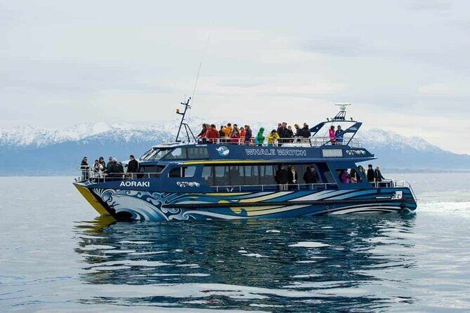 Kaikoura Whale Watch Day Tour from Christchurch - The Sum Up