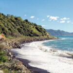 Kaikoura Whale Watch Day Tour from Christchurch including Coastal Pacific Train - Who Will Love This Tour?