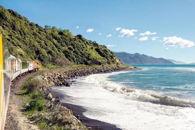 Kaikoura Whale Watch Day Tour from Christchurch including Coastal Pacific Train - Who Will Love This Tour?
