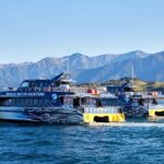 Kaikoura: Whale Watching Cruise - The Experience: What You’ll Actually Do